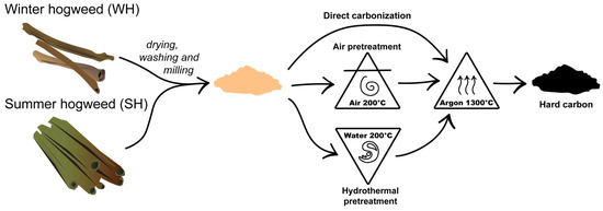 Sosnowskyi Hogweed-Based Hard Carbons for Sodium-Ion Batteries