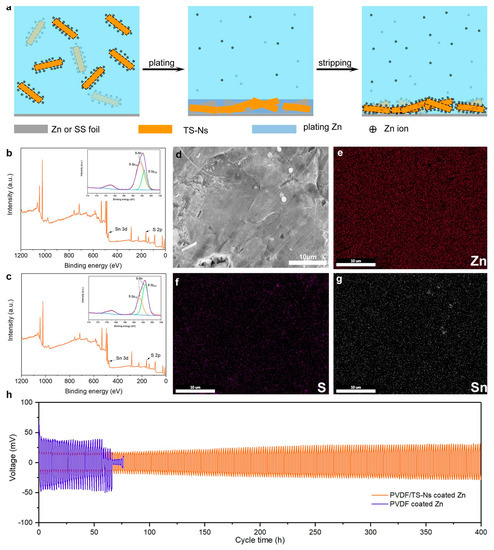 Electrolyte Additive Strategies for Suppression of Zinc Dendrites in ...