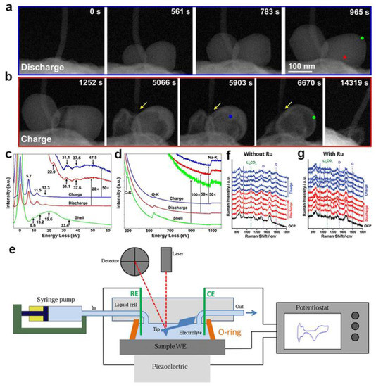 Recent Progress and Perspectives of Solid State Na-CO2 Batteries