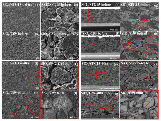 Effect of Graphite Morphology on the Electrochemical and Mechanical ...