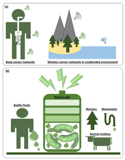 Biofuel Cells and Biobatteries: Misconceptions, Opportunities, and ...