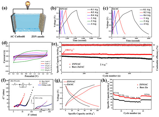 Batteries | Free Full-Text | A Self-Growing 3D Porous Sn Protective ...