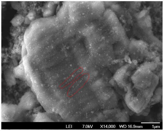 High-Energy and High-Power Primary Li-CFx Batteries Enabled by the ...