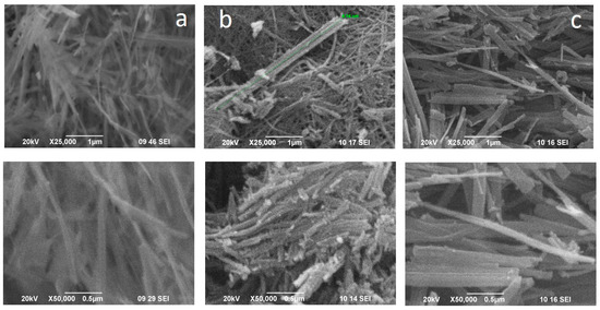 Design of Sodium Titanate Nanowires as Anodes for Dual Li,Na Ion Batteries