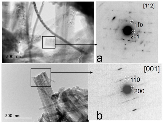 Batteries | Free Full-Text | Design of Sodium Titanate Nanowires as ...
