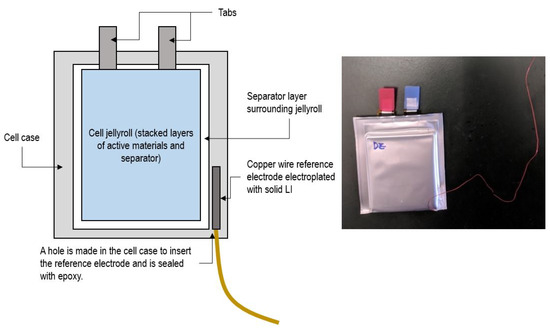 Modeling of Lithium Plating and Stripping Dynamics during Fast Charging