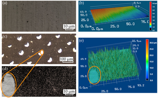 Comparison of Different Current Collector Materials for In Situ Lithium ...