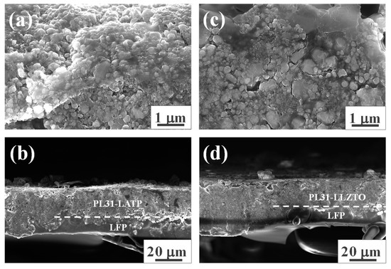 Batteries | Free Full-Text | Solid-State Lithium Batteries with Cathode-Supported Composite ...