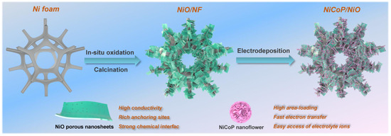 Design of Hierarchical Nickel-Cobalt Phosphide/Nickel Oxide with ...