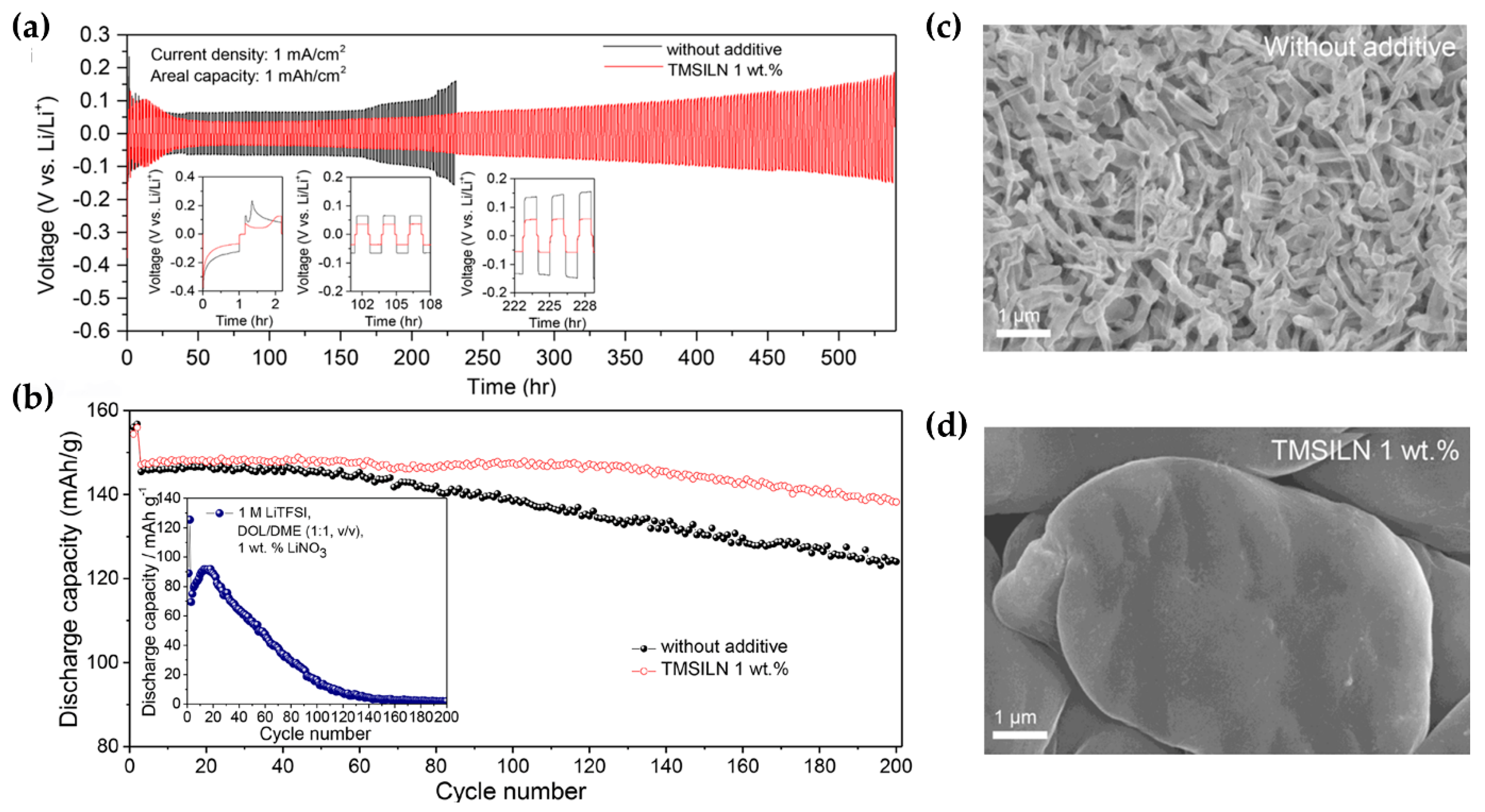 Behavior of NO3−-Based Electrolyte Additive in Lithium Metal Batteries