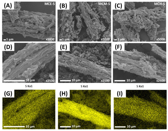 Influence of the Nitrogen Precursor in the Development of N ...