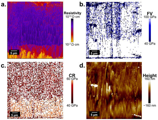 Impacts of Curing-Induced Phase Segregation in Silicon Nanoparticle ...