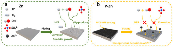 Dendrite-Free Zn Anode Modified by Organic Coating for Stable Aqueous ...