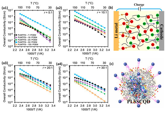 Advanced Polymer Electrolytes in Solid-State Batteries