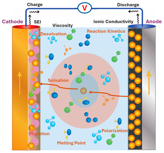Advanced Polymer Electrolytes in Solid-State Batteries