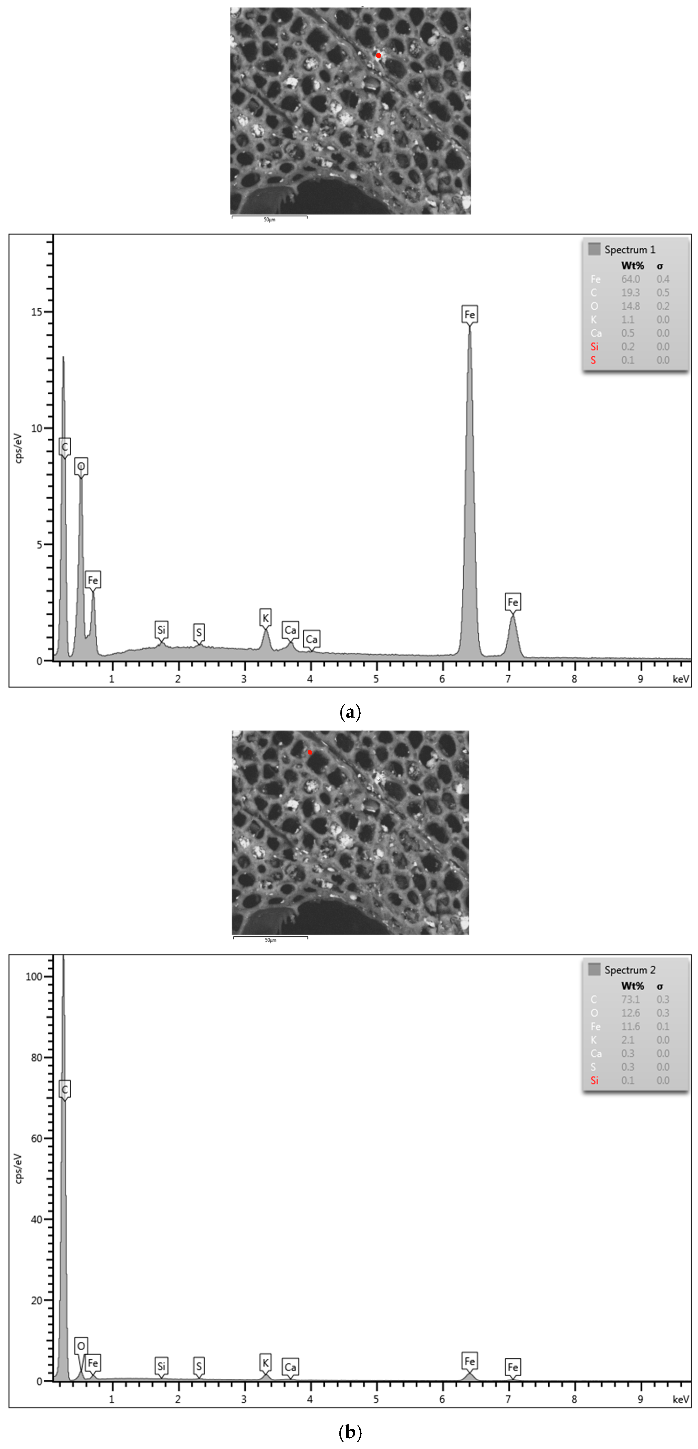 Electrochemical Performance of Pre-Modified Birch Biochar Monolith Supercapacitors by Ferric ...