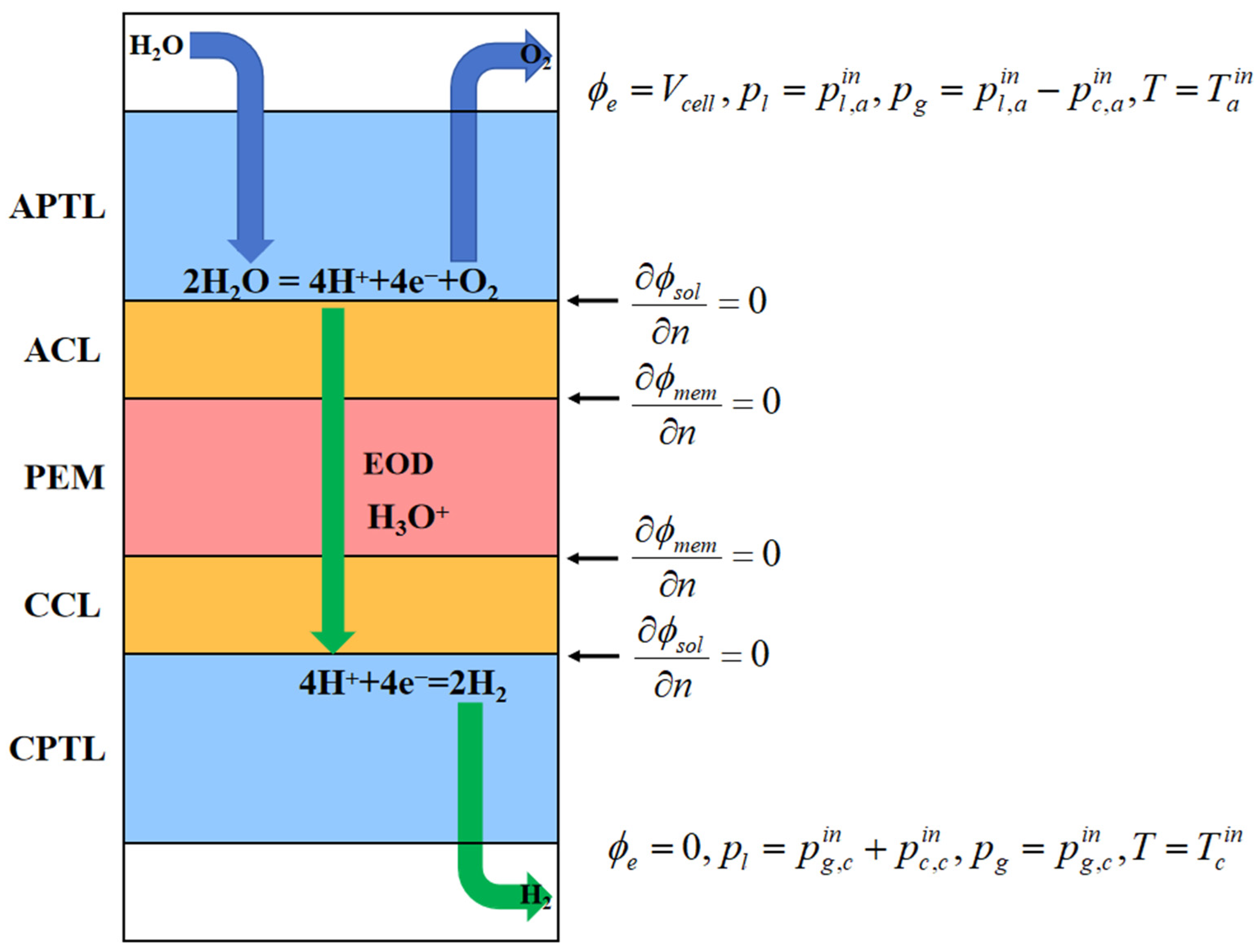 Optimizing Porous Transport Layers in PEM Water Electrolyzers: A 1D Two ...