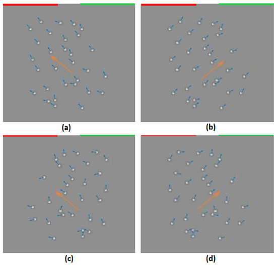 How the External Visual Noise Affects Motion Direction Discrimination ...