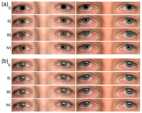 Behavioral Sciences | An Open Access Journal from MDPI