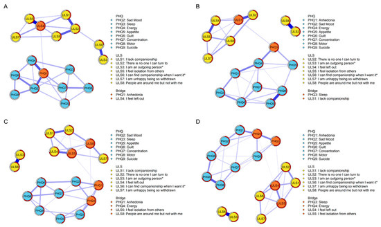 The Temporal Relationship between Depressive Symptoms and Loneliness ...