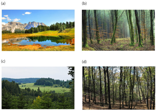 Landscape Preference: The Role of Attractiveness and Spatial Openness ...