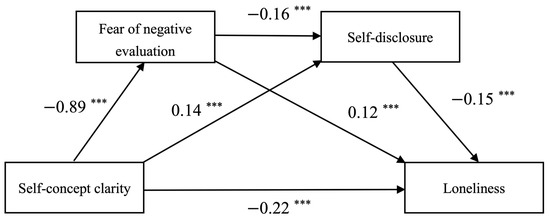 Self-Concept Clarity and Loneliness among College Students: The Chain ...