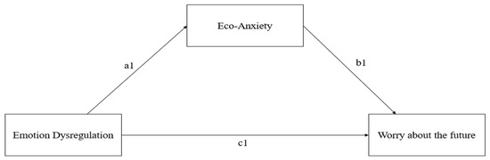 Worry about the Future in the Climate Change Emergency: A Mediation ...