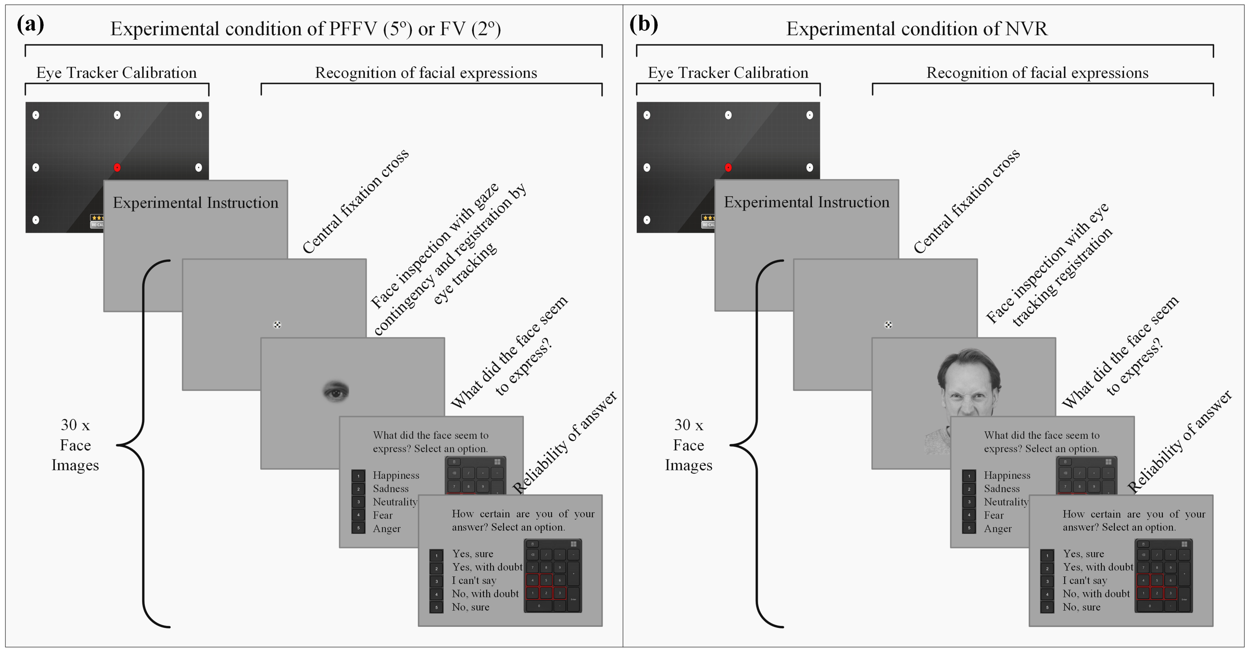 Visual Field Restriction in the Recognition of Basic Facial Expressions ...