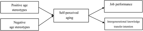 Effects of Age Stereotypes of Older Workers on Job Performance and ...