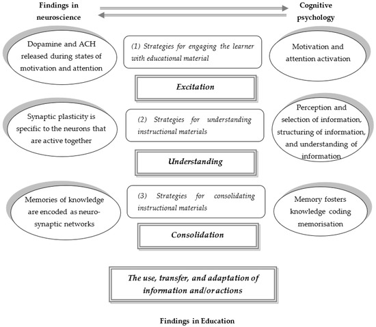 Insights from the Active Use of Neuroscience Findings in Teaching and ...