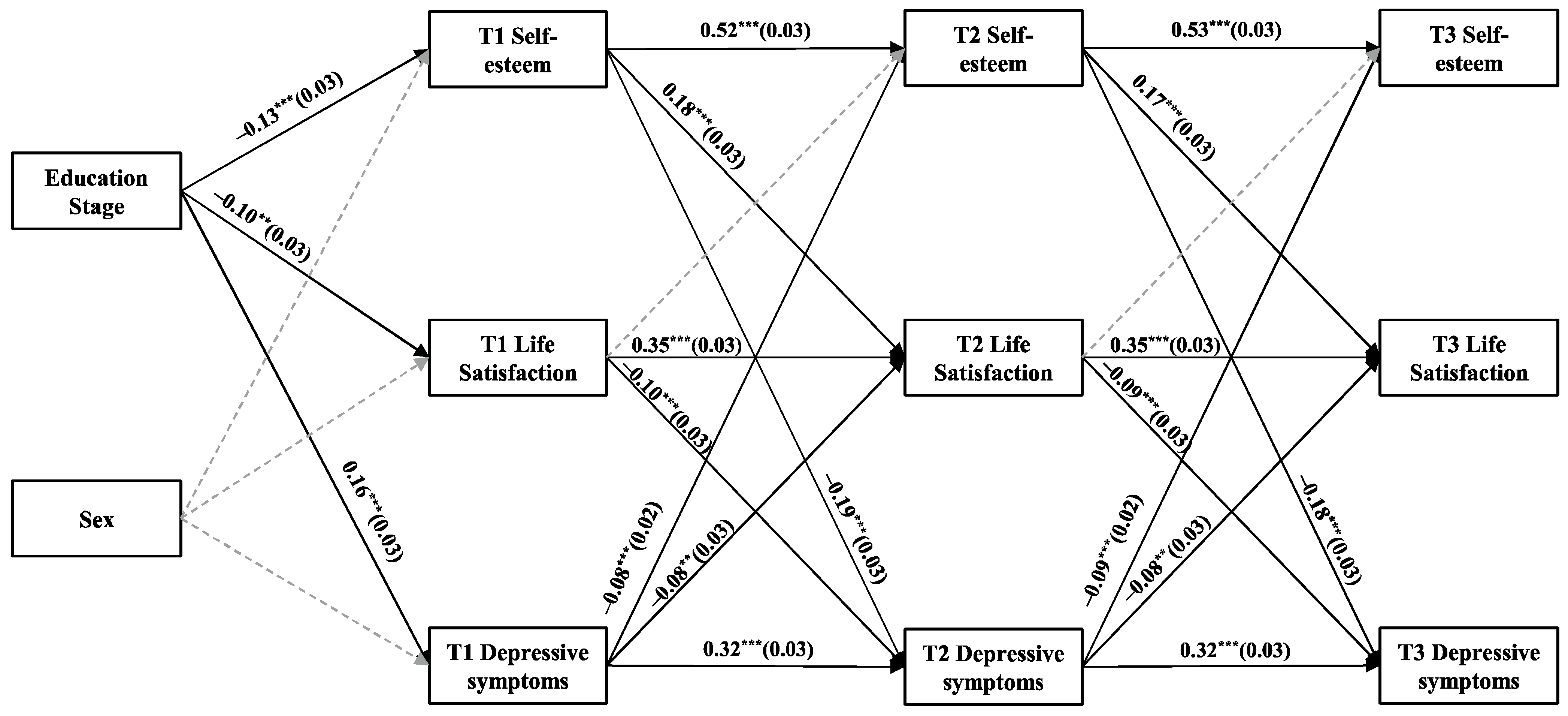 The Longitudinal Relationship Between Self-Esteem, Life Satisfaction, and Depressive and Anxiety ...