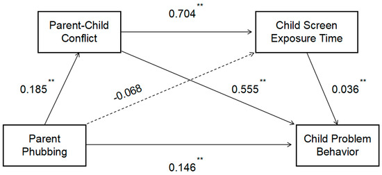 The Chain Mediating Effects of Parent–Child Conflict and Screen Time on ...