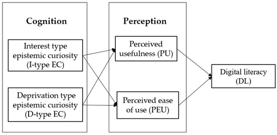 How Epistemic Curiosity Influences Digital Literacy: Evidence from ...