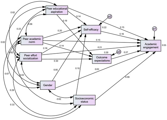 The Mediating Role of Self-Efficacy and Outcome Expectations in the ...