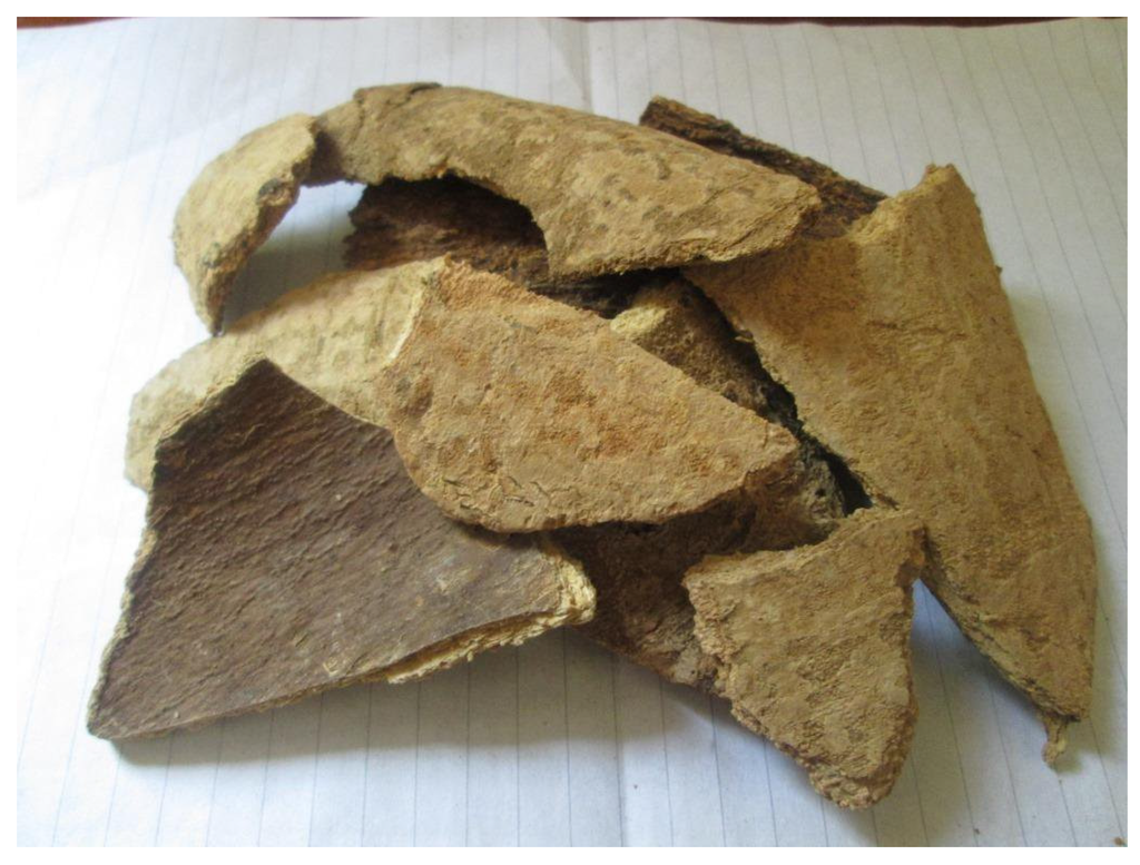 Brewing Technique of Mbege, a Banana Beer Produced in Northeastern Tanzania