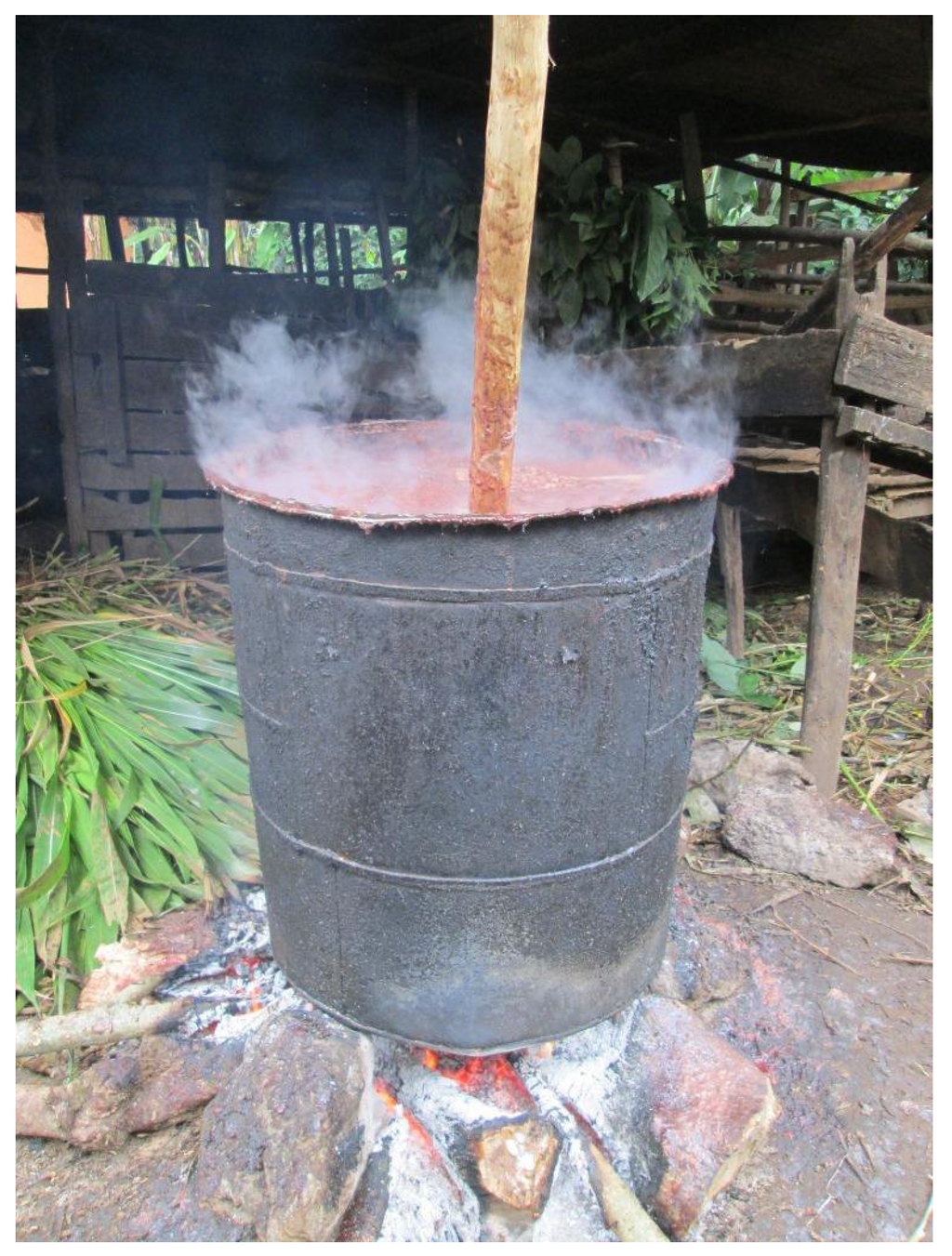 Brewing Technique of Mbege, a Banana Beer Produced in Northeastern Tanzania