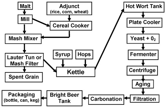Saccharomyces species in the Production of Beer