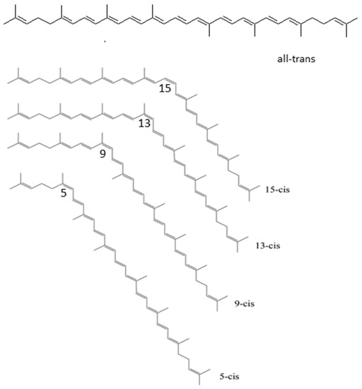 Lycopene in Beverage Emulsions: Optimizing Formulation Design and ...