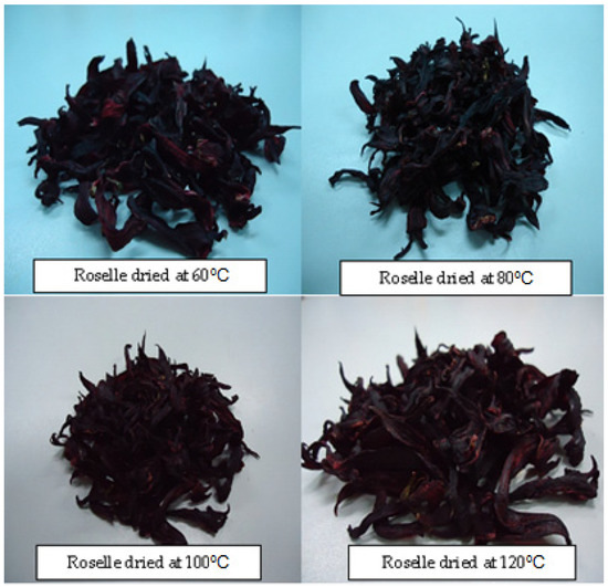Processing of Herbal Tea from Roselle (Hibiscus sabdariffa L.): Effects ...