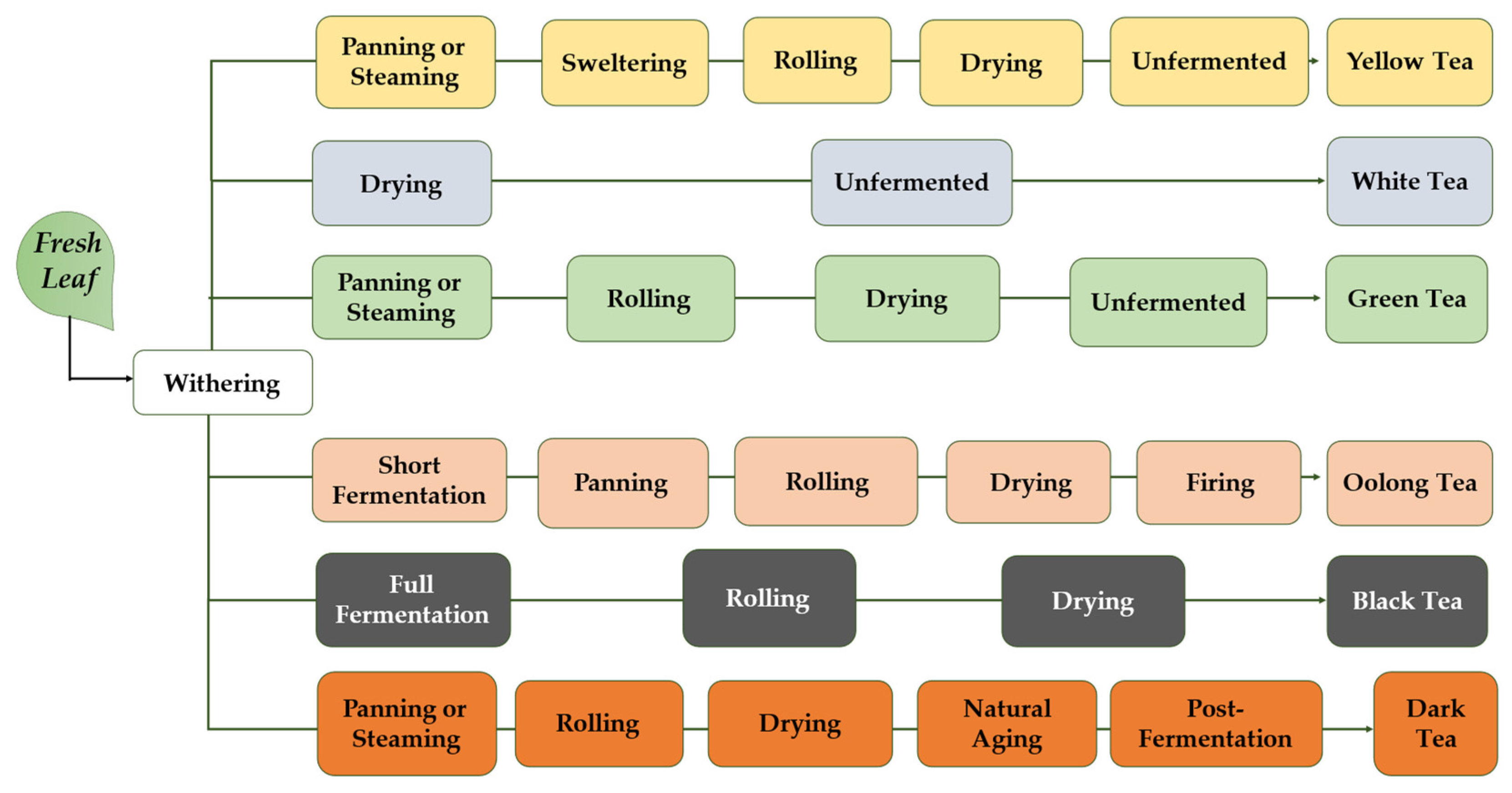 The Influence of Green and Black Tea Infusion Parameters on Total ...