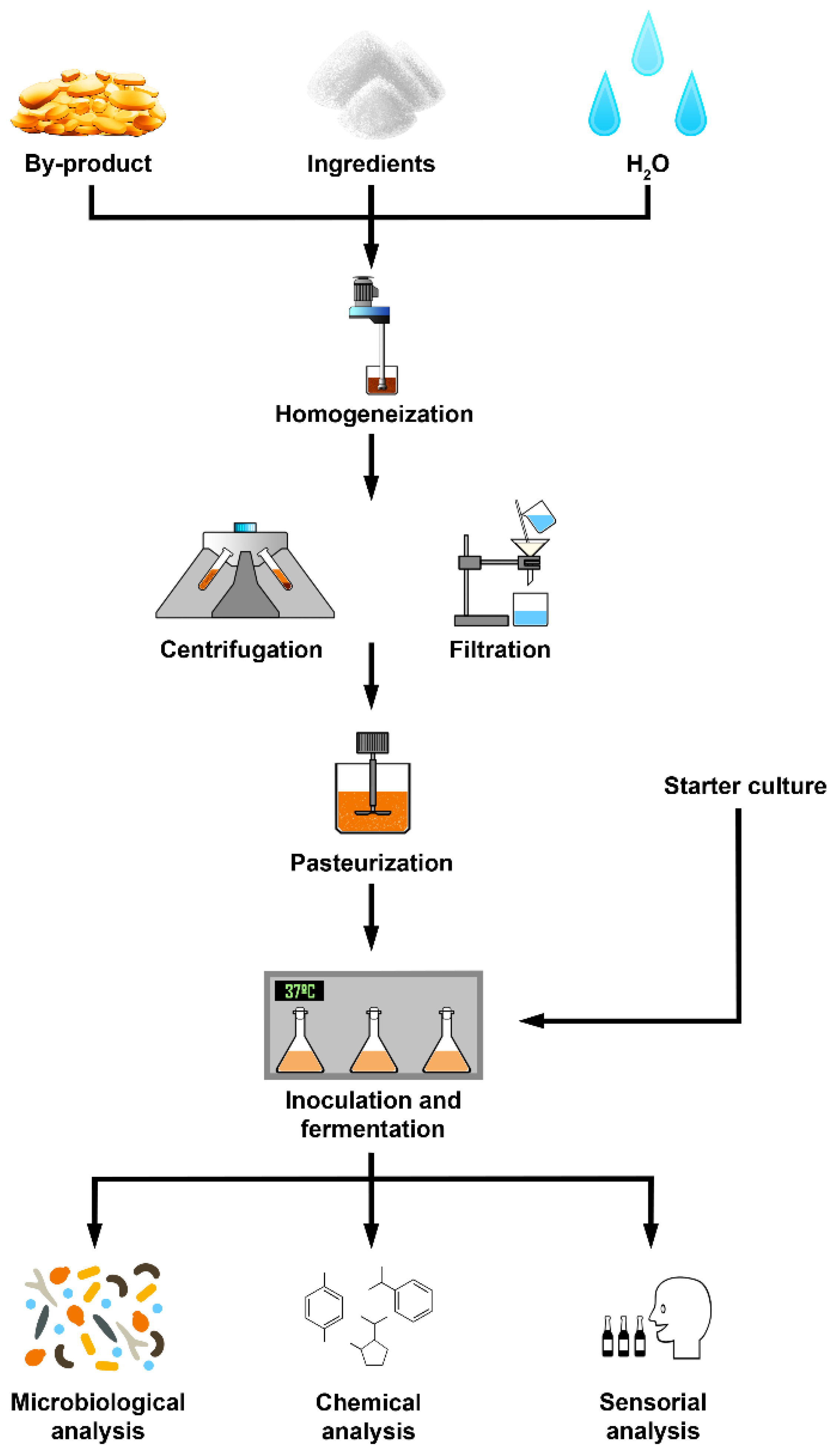 Properties of Fermented Beverages from Food Wastes/By-Products