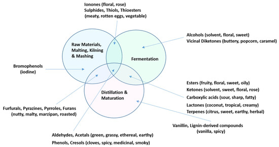 Sources of Volatile Aromatic Congeners in Whiskey