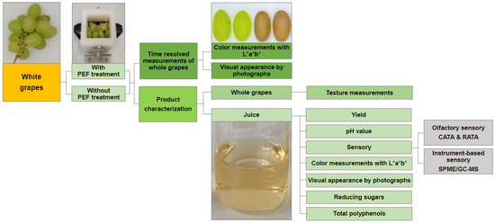 Effects of Pulsed Electric Fields on the Physicochemical and Sensory ...