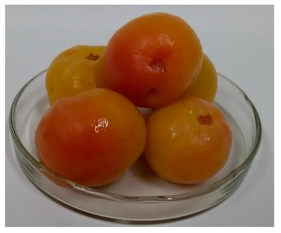 Acetic Fermentation of Cagaita Pulp: Technological and Chemical ...