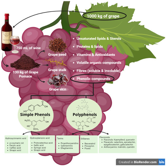 Beverages | Free Full-Text | Grape Pomace as a Renewable Natural ...