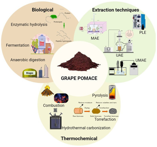 Beverages | Free Full-Text | Grape Pomace as a Renewable Natural ...