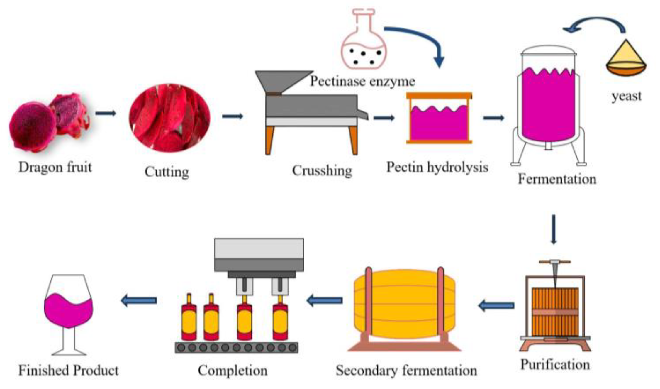 Influences of Fermentation Conditions on the Chemical Composition of Red Dragon Fruit ...