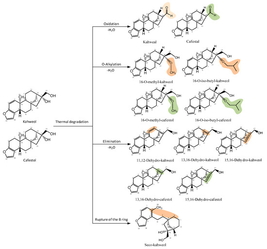 The Changes of Kahweol and Cafestol of Arabica Coffee from Bean to ...