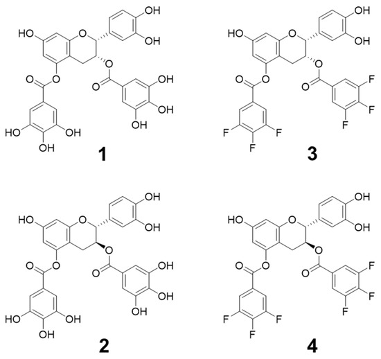 Fluorinated Derivatives of Digalloyl-Flavan-3-ol Induce Autophagic Cell ...