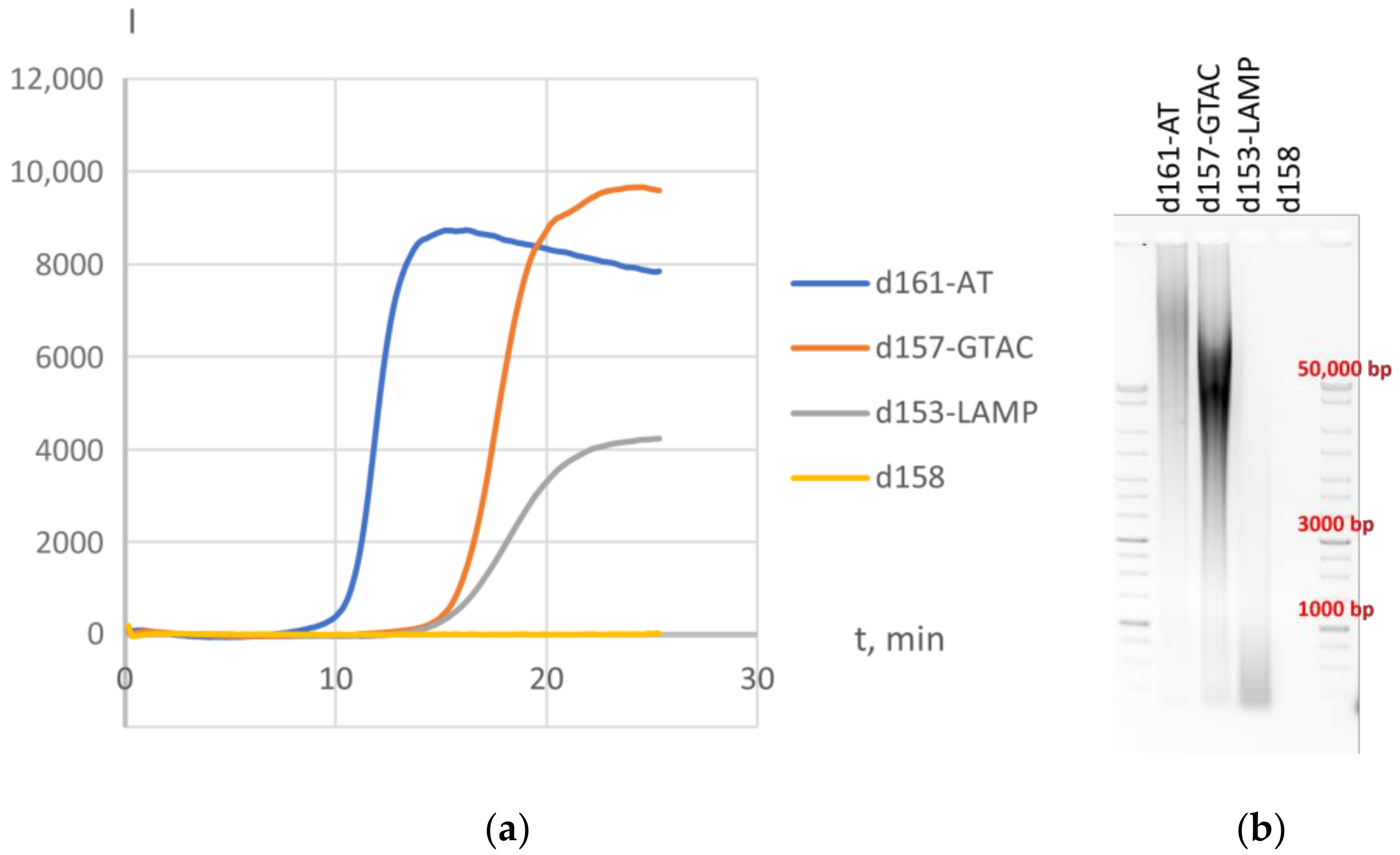 New Method of Isothermal, Hairpin Assisted, Primer Independent ...